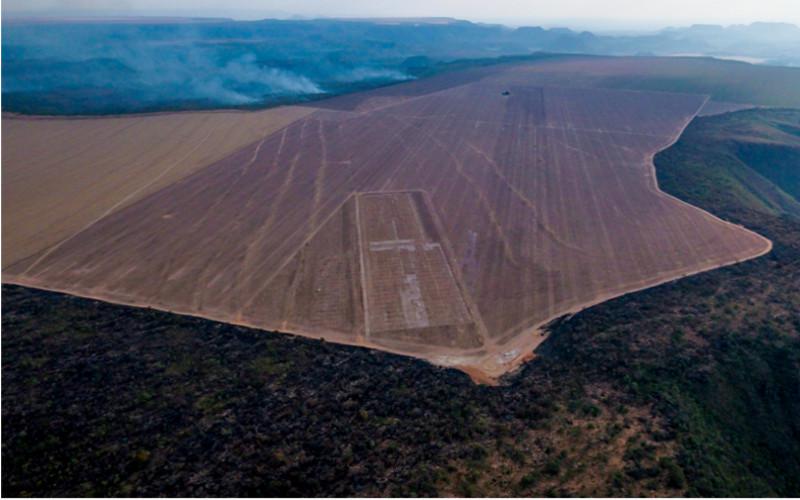 Raubbau für Soja | Robin Wood