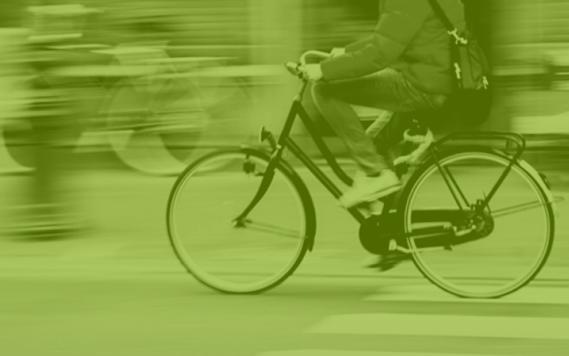 Was wir tun | ROBIN WOOD e.V.